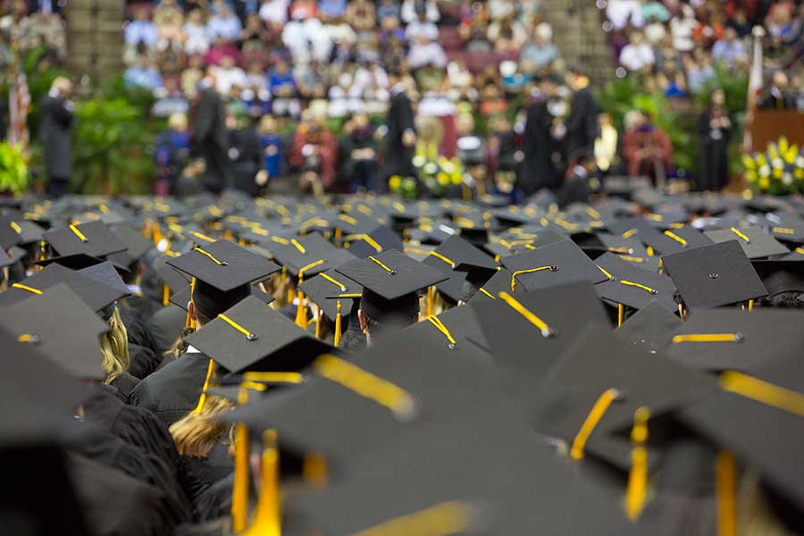 Advising | University Honors Program